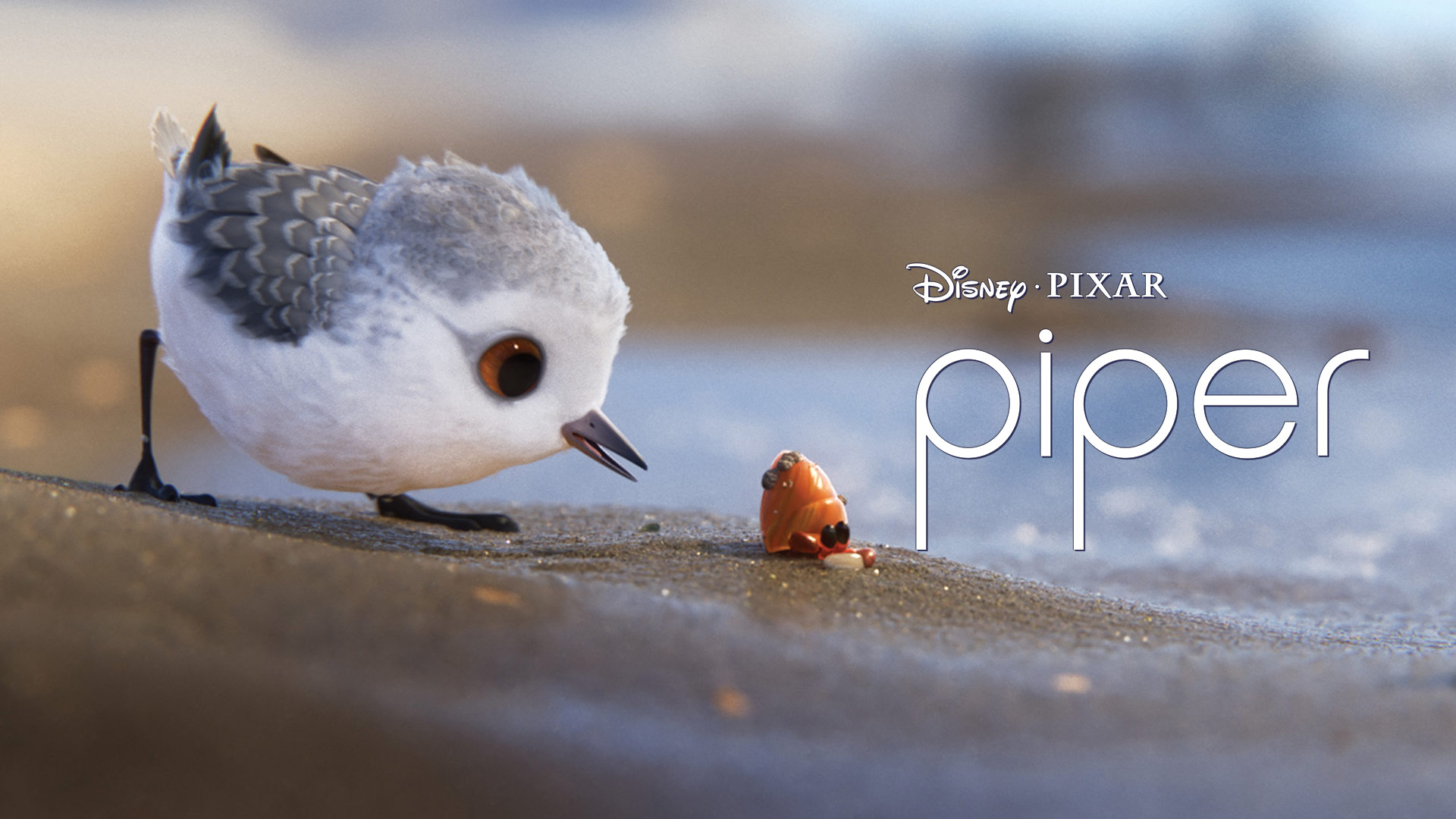 Piper - Trailer - Disney+ Hotstar