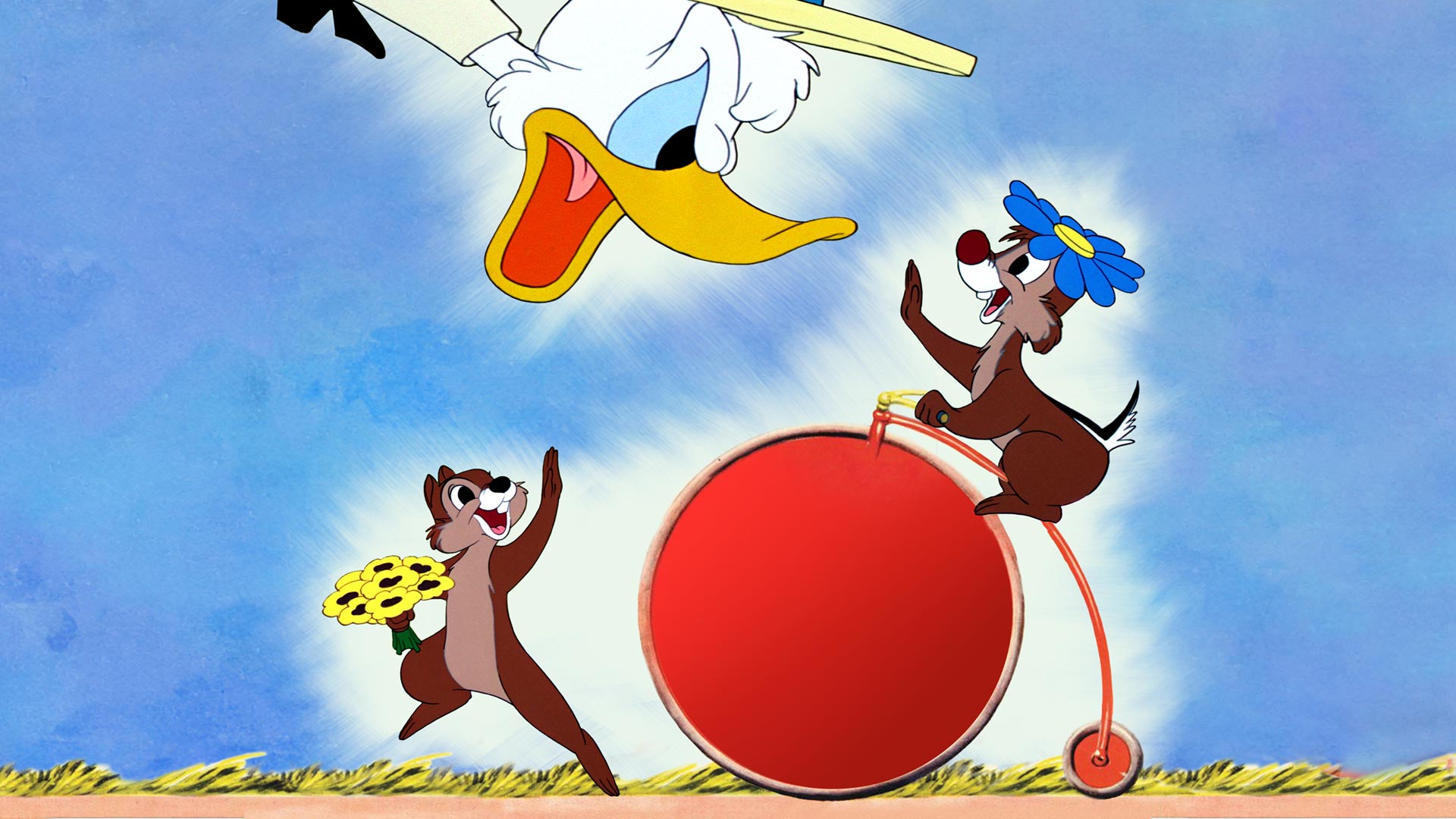 Crazy Over Daisy full movie. Comedy Animation Shorts film di Disney+.