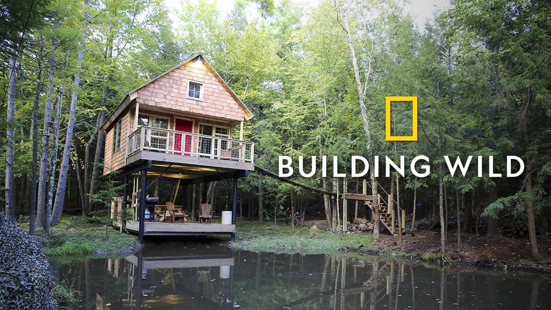 Building Wild - Trailer - Disney+ Hotstar