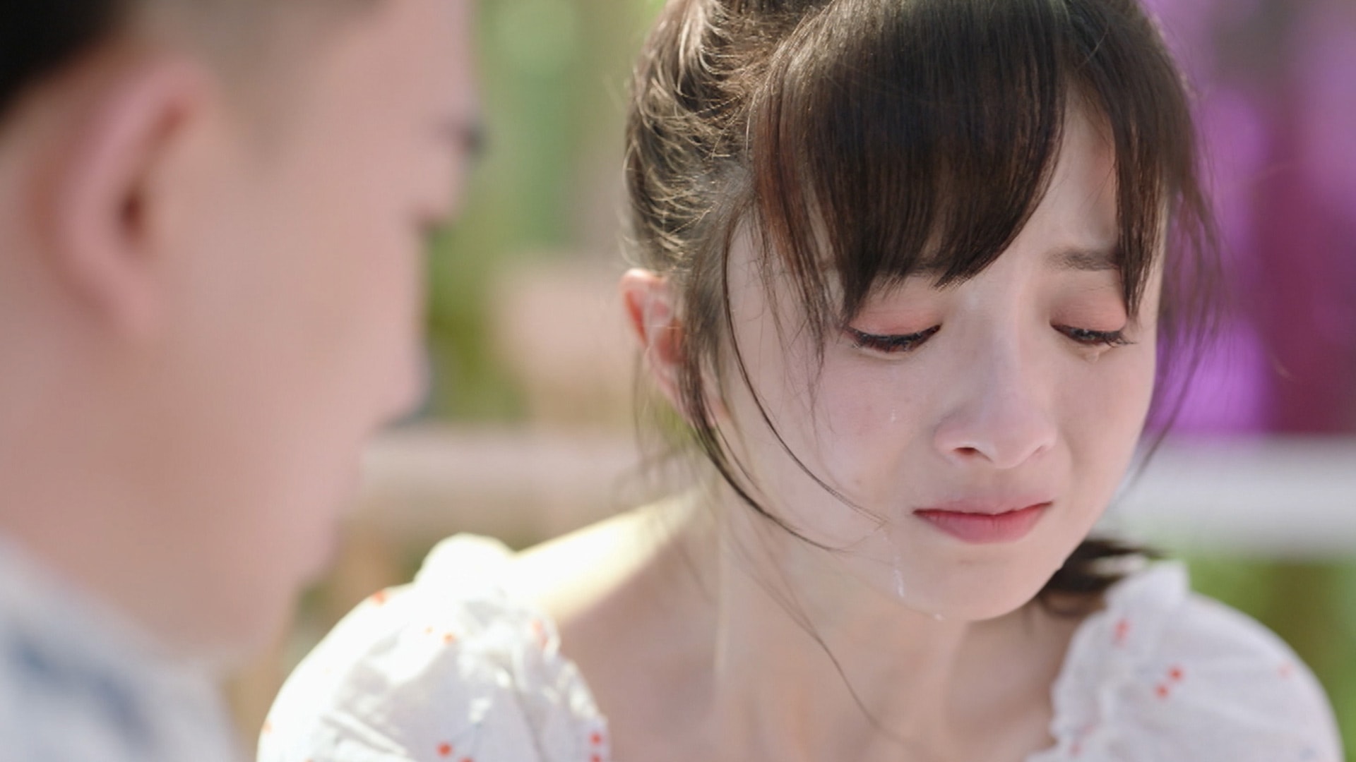 Watch A Romance of the Little Forest S1 Episode 27 on JioHotstar