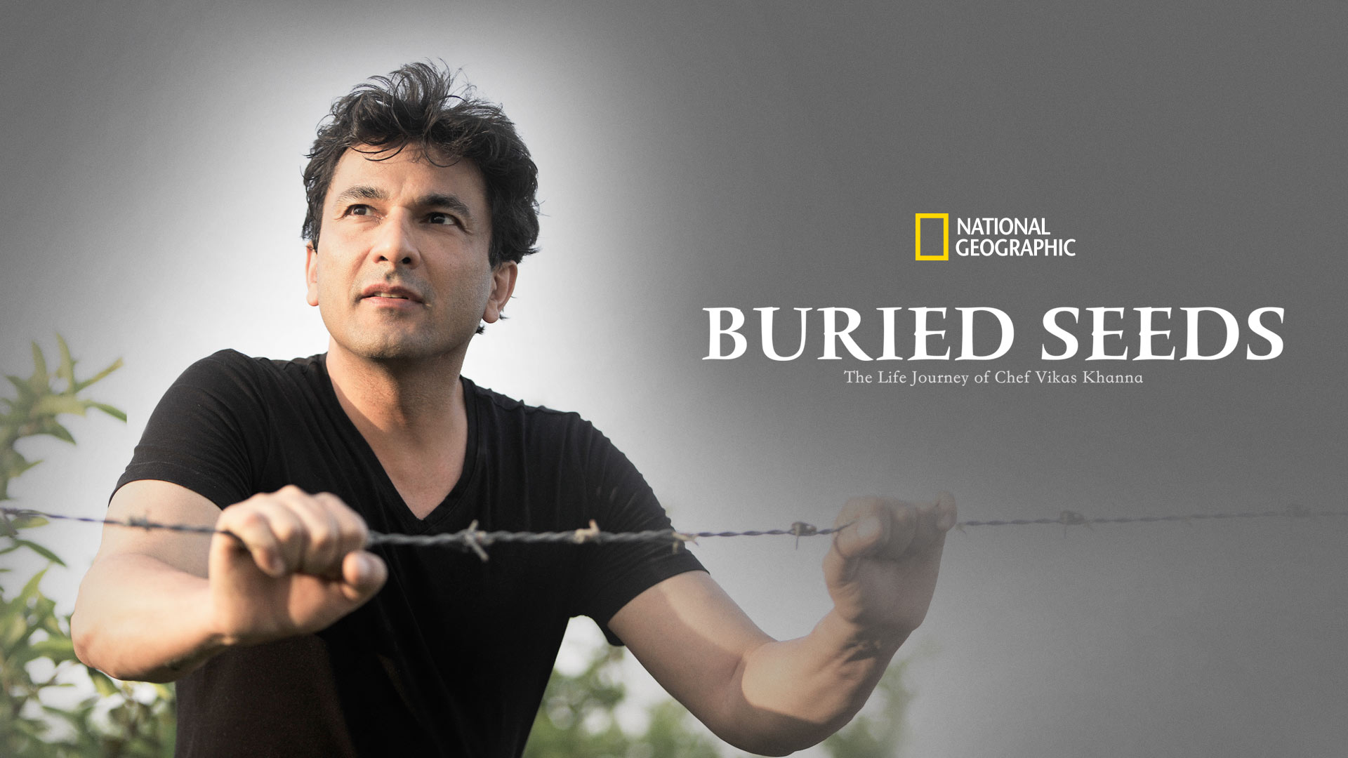 Buried Seeds - Trailer - JioHotstar