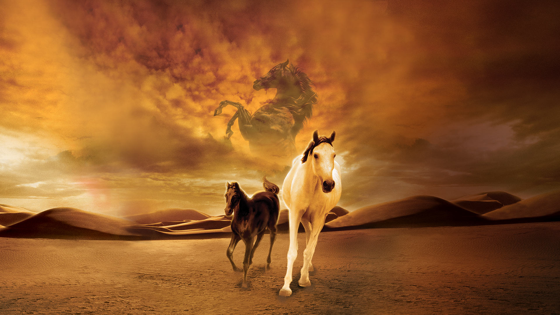 The Young Black Stallion - Disney+