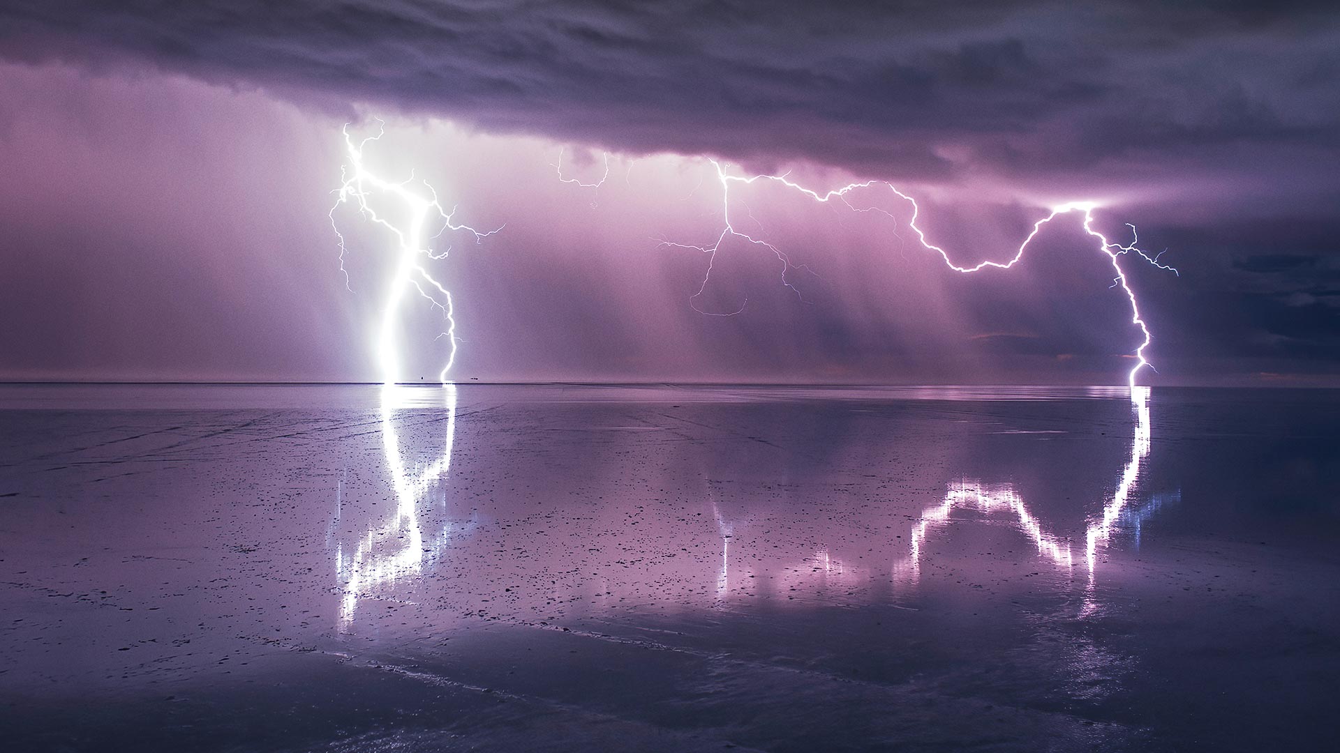 Stream Mind of the Swarm Season 1 Episode 3 – Mind of the Swarm on Disney+