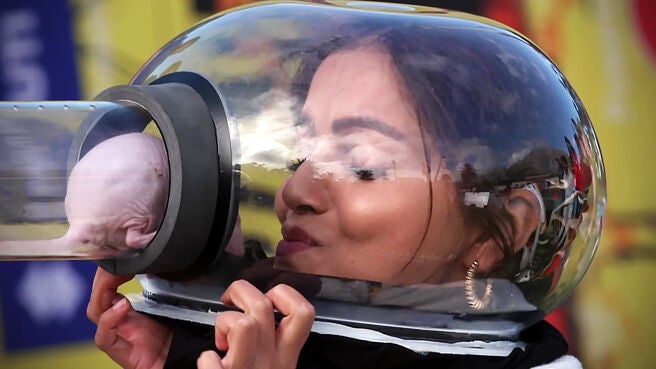 Chooha ka chumma! - JioHotstar