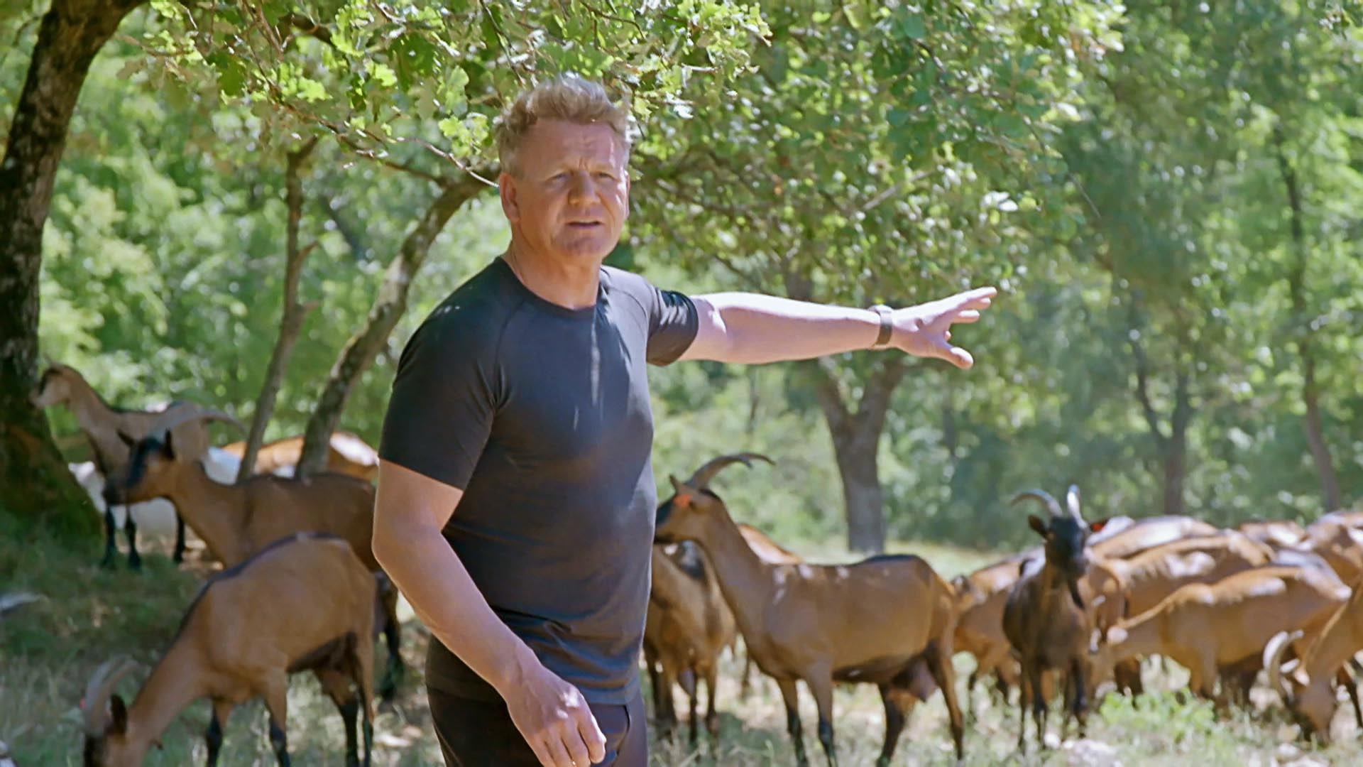 Watch Gordon Ramsay Uncharted Episode 4 on JioHotstar