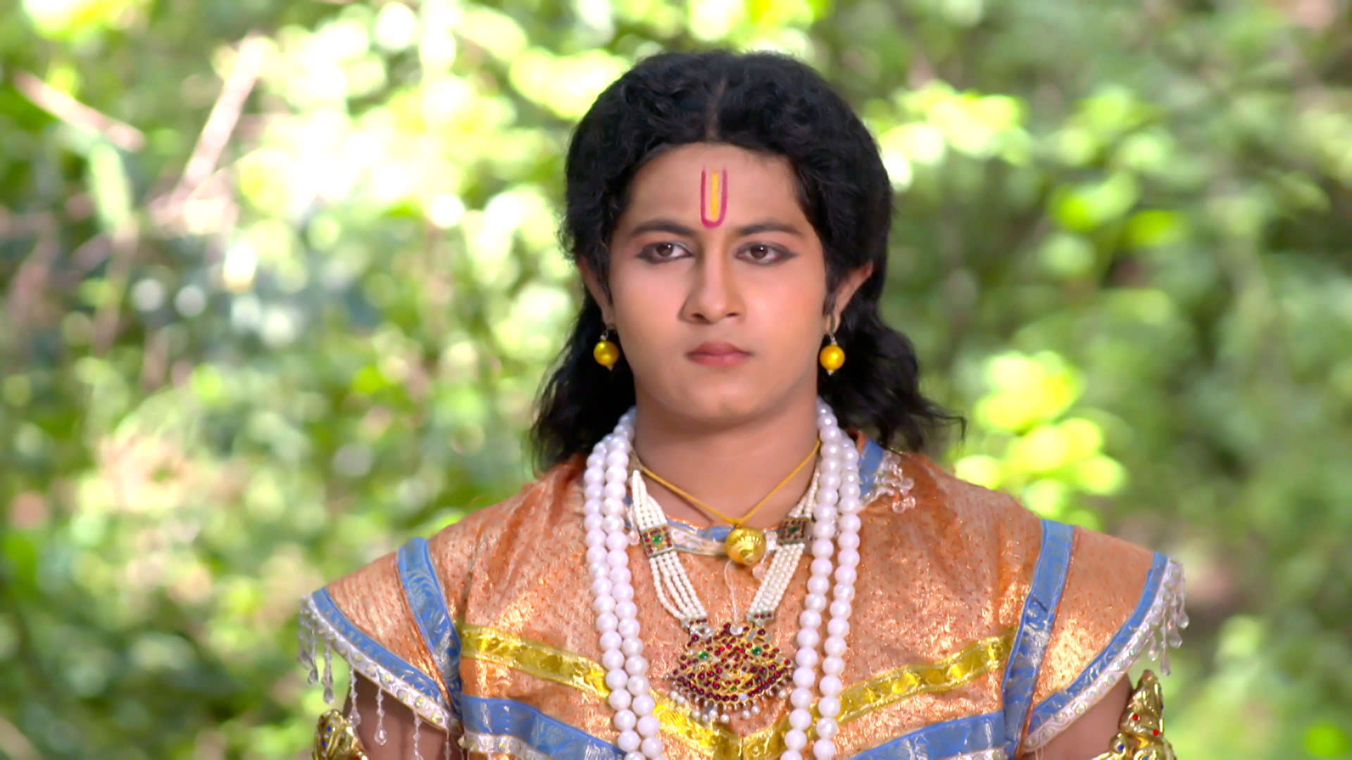 Watch Sabarimala Swami Ayyappan S1 Episode 233 on Disney+ Hotstar