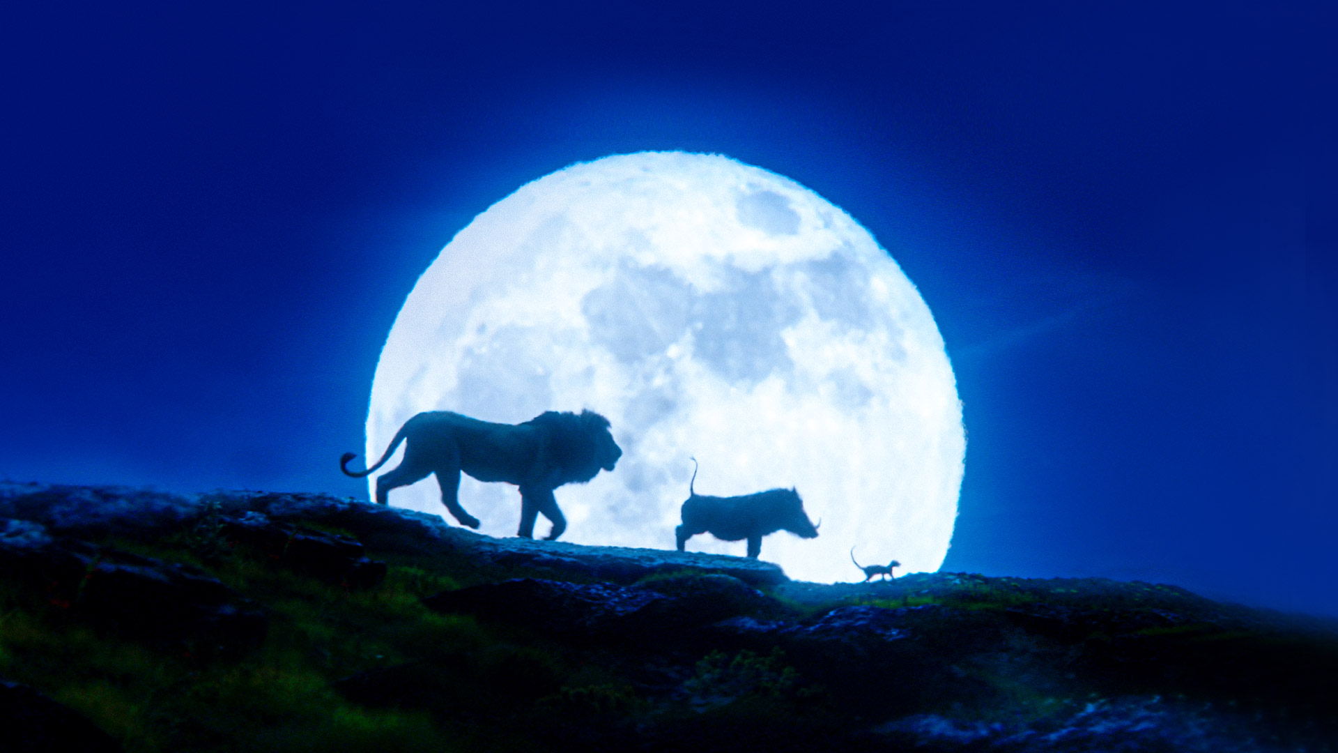 The Lion King Sing-Along - Disney+