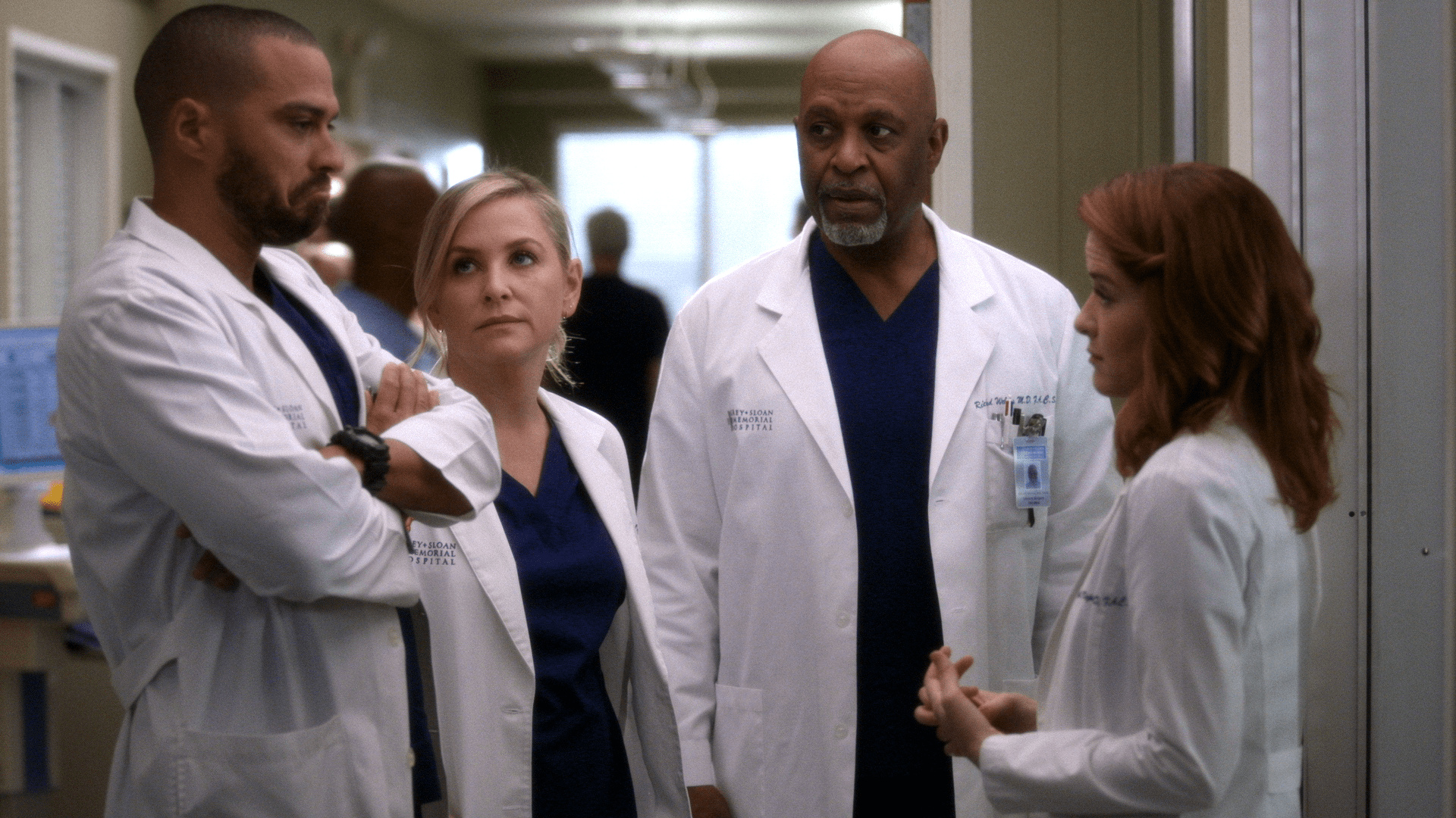 Watch Grey's Anatomy S13 Episode 12 on Disney+ United Arab Emirates ...