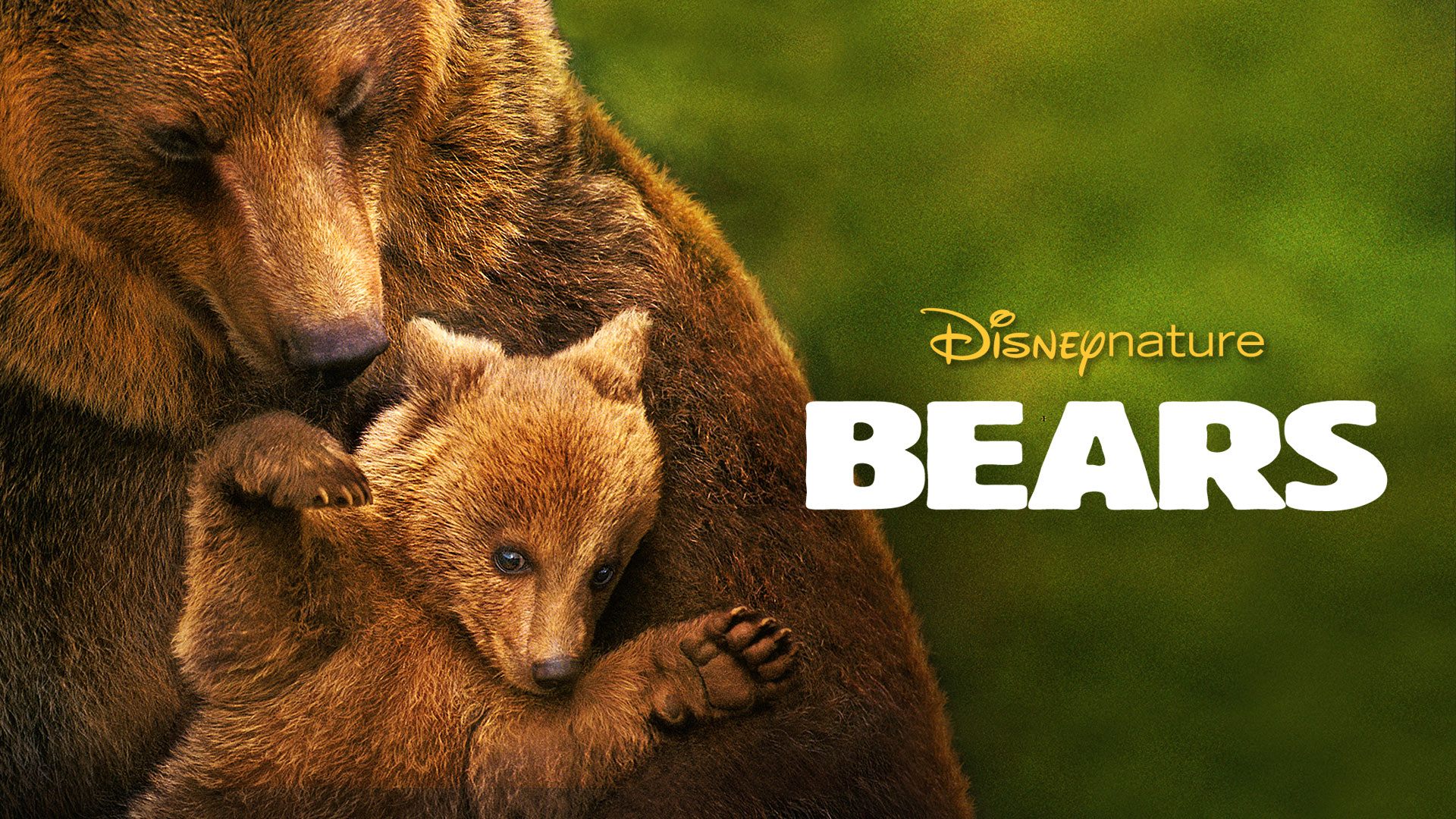 Watch Movie Bears Online only on Watcho,