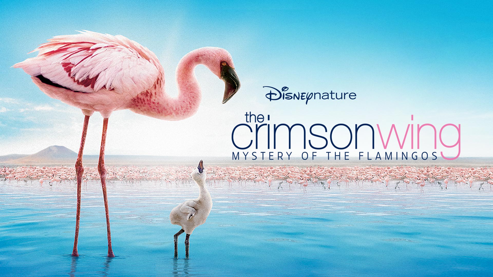 Watch Movie Crimson Wing Online Only On Watcho