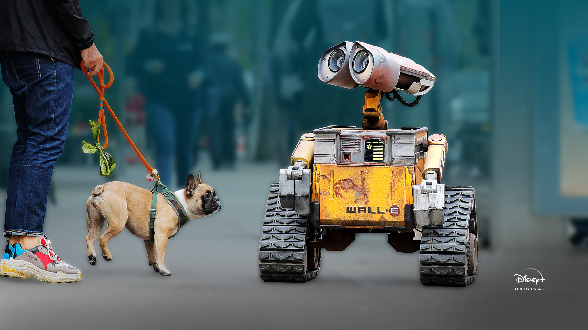Pixar In Real Life on Disney+ South Africa | English Reality Series