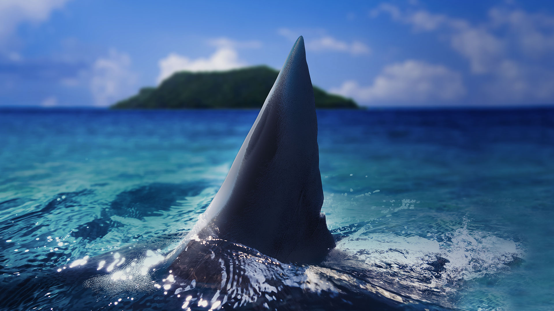 Sharks of Lost Island - Disney+