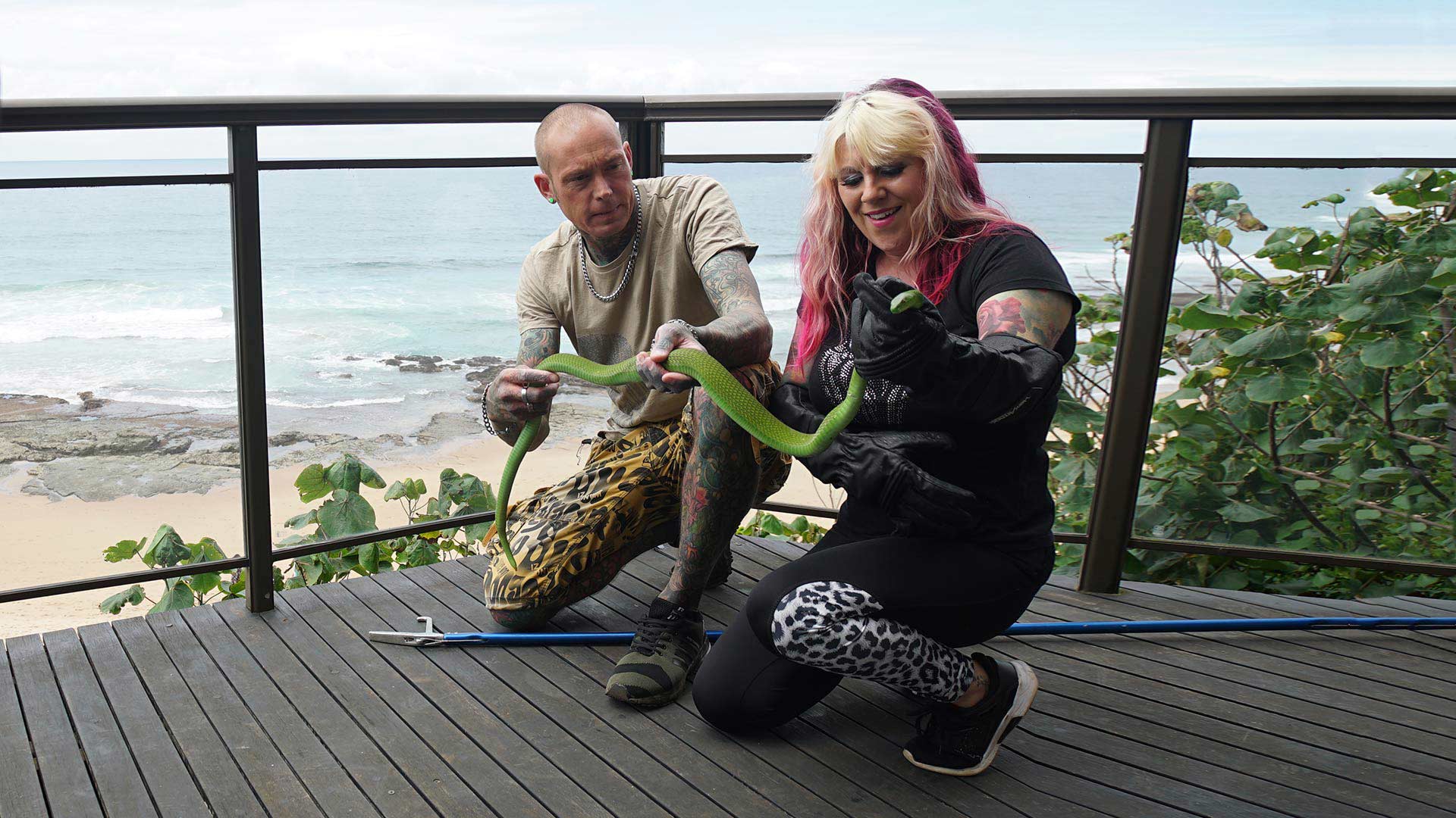 Snake City - Disney+