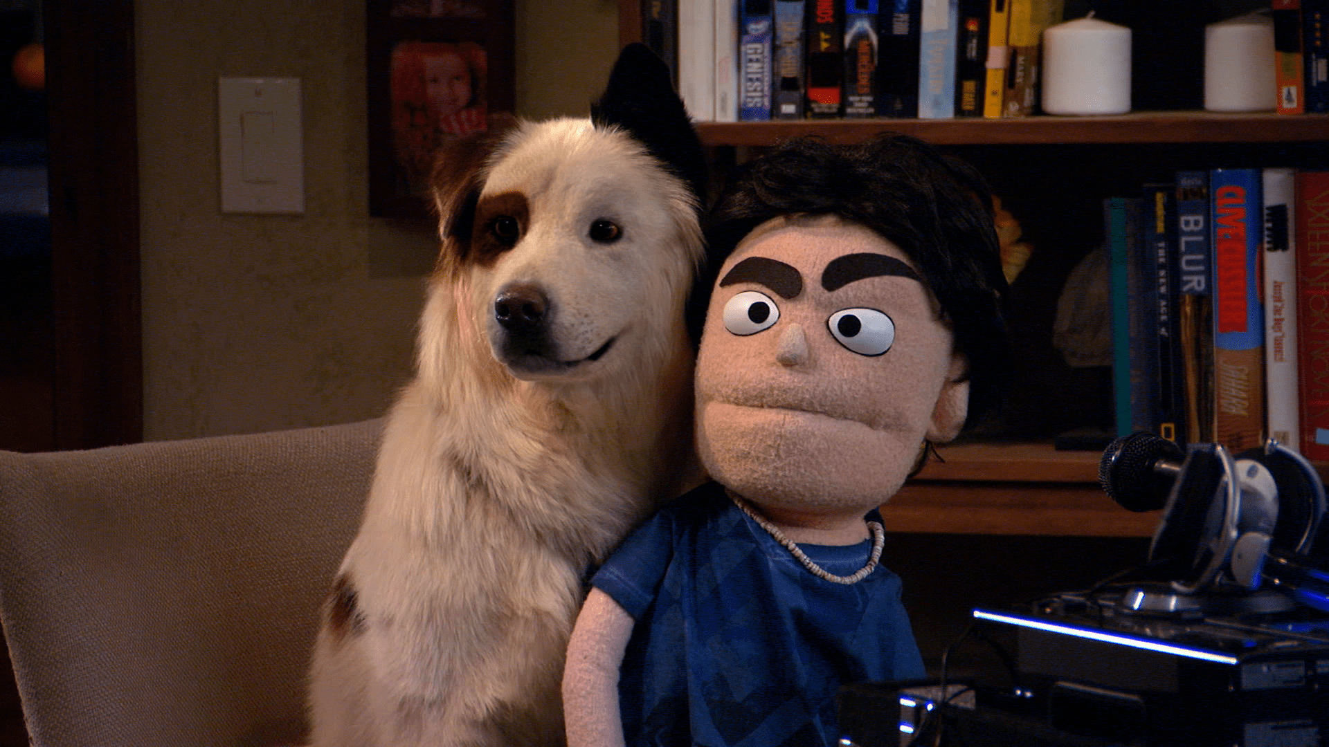 Watch Dog With a Blog S2 Episode 18 on Disney+ United Arab Emirates ...