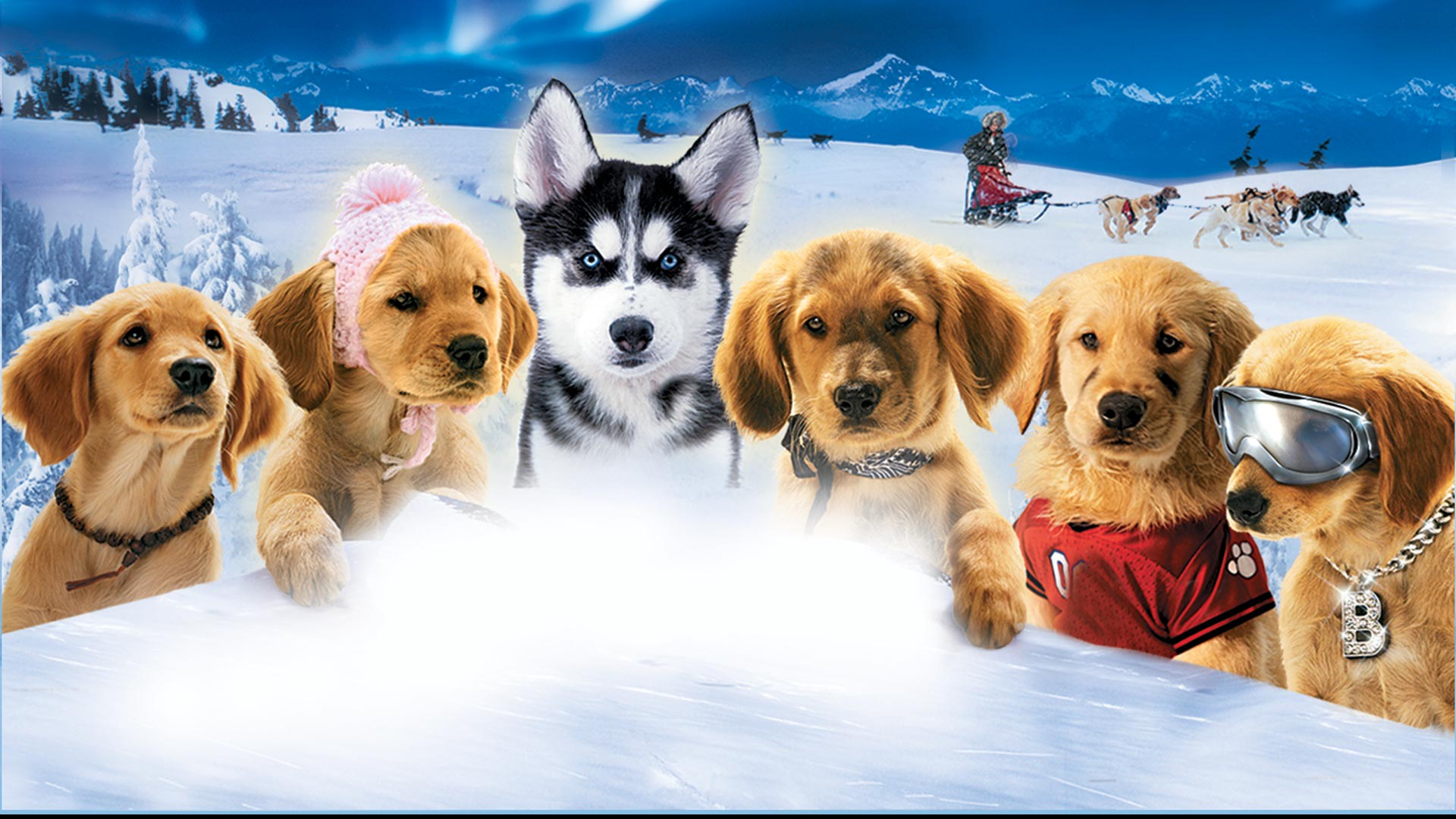 Snow Buddies on Disney+ United Arab Emirates | English Arabic ...