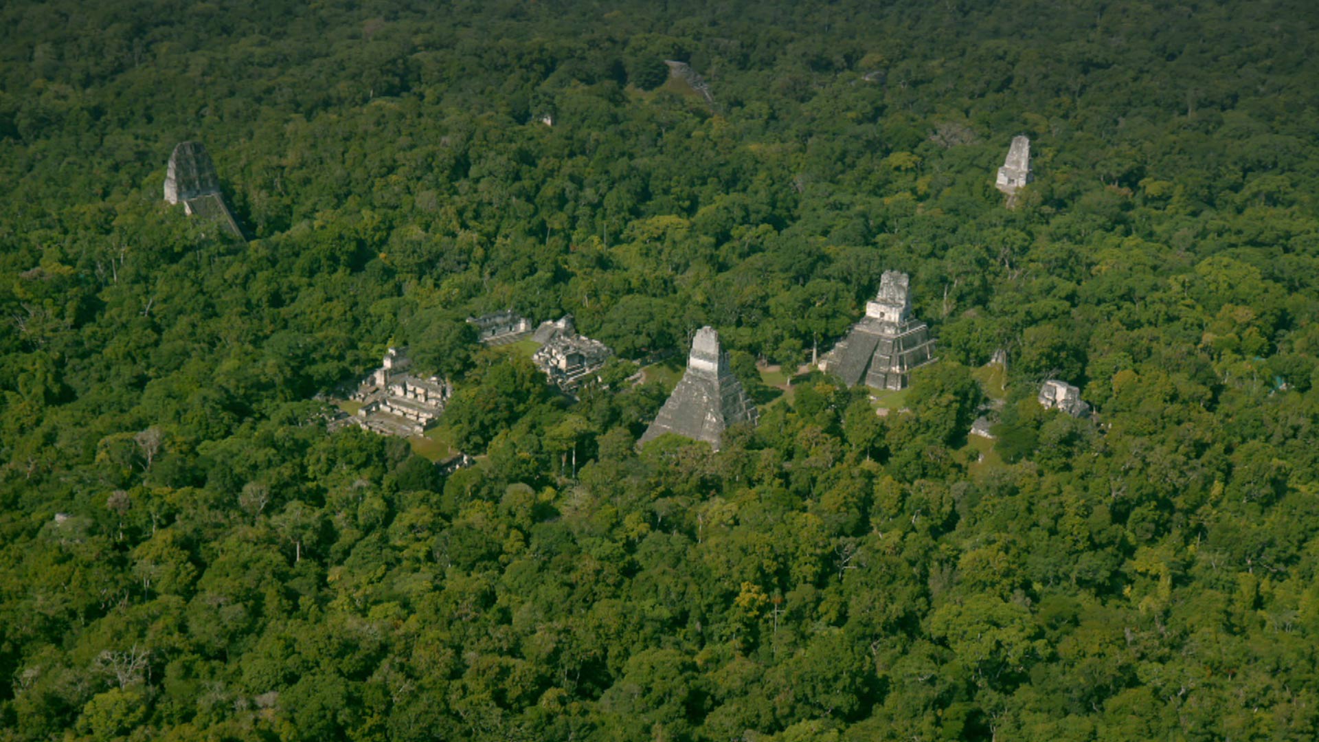 Lost Treasures of the Maya on Disney+ South Africa | English Docuseries ...