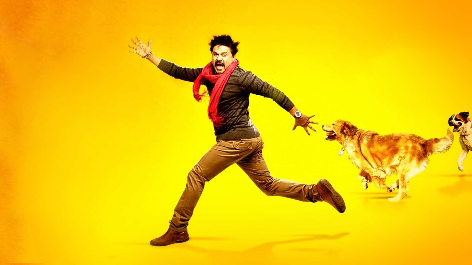 Watch Ring Master - JioHotstar