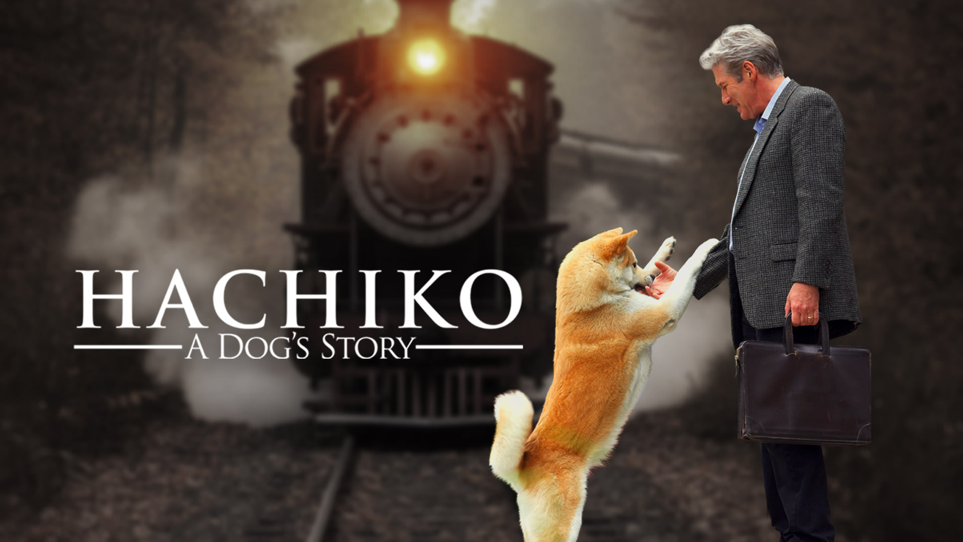 Watch Movie Hachi: A Dog's Tale Online only on Watcho,