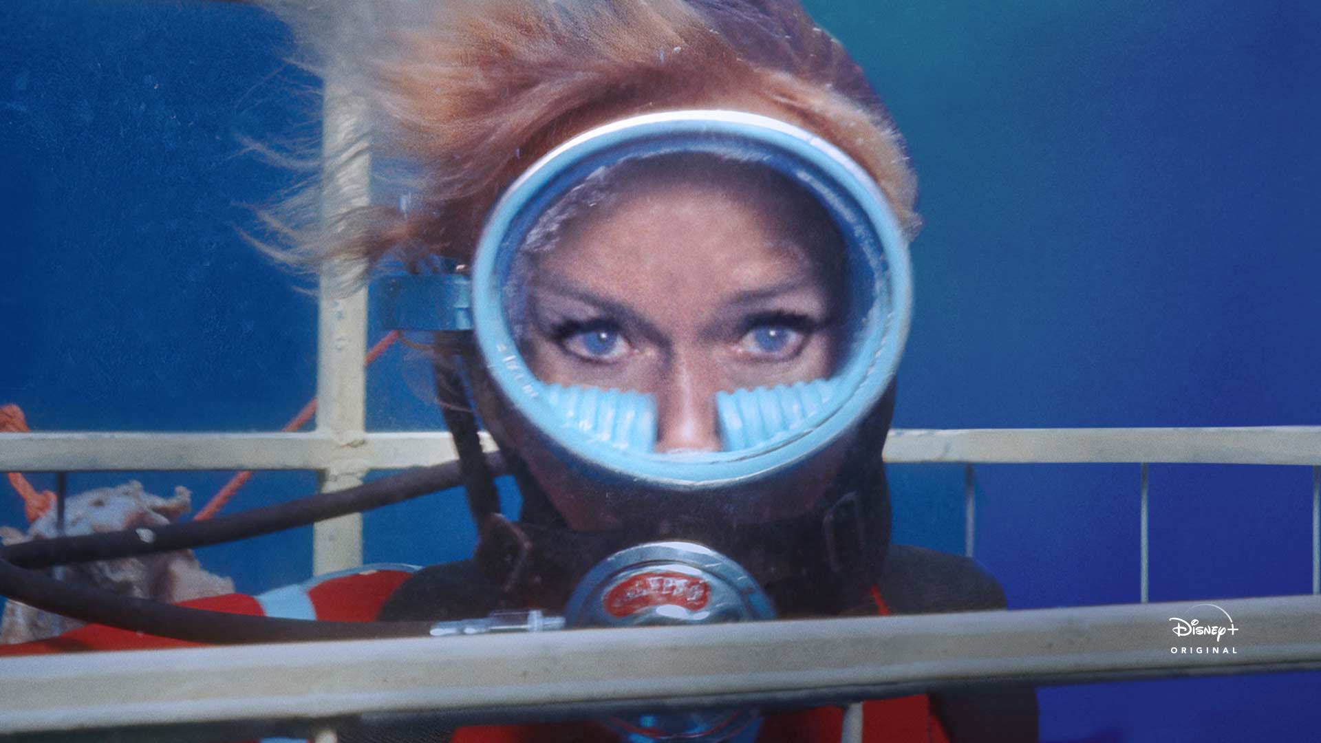 Playing with Sharks Documentary Series, now streaming on Disney+ Hotstar