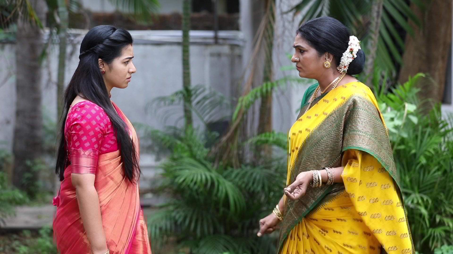 Stream Paranjothi Takes Revenge Season 1 Episode 217 – Paranjothi Takes ...