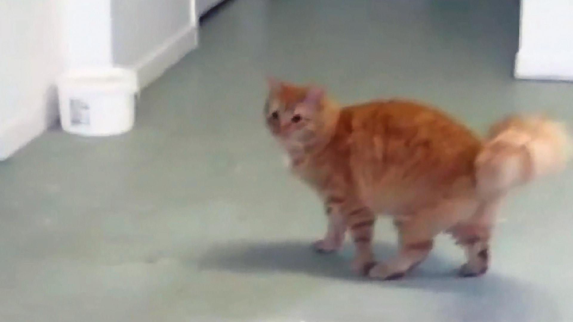 Watch Science of Stupid S3 Episode 33 on Disney+ Hotstar