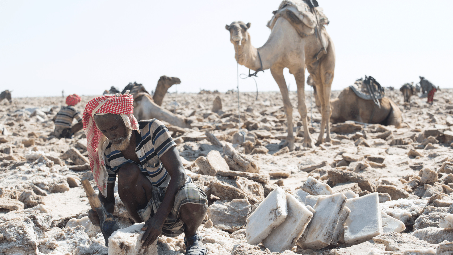 One Strange Rock - Disney+