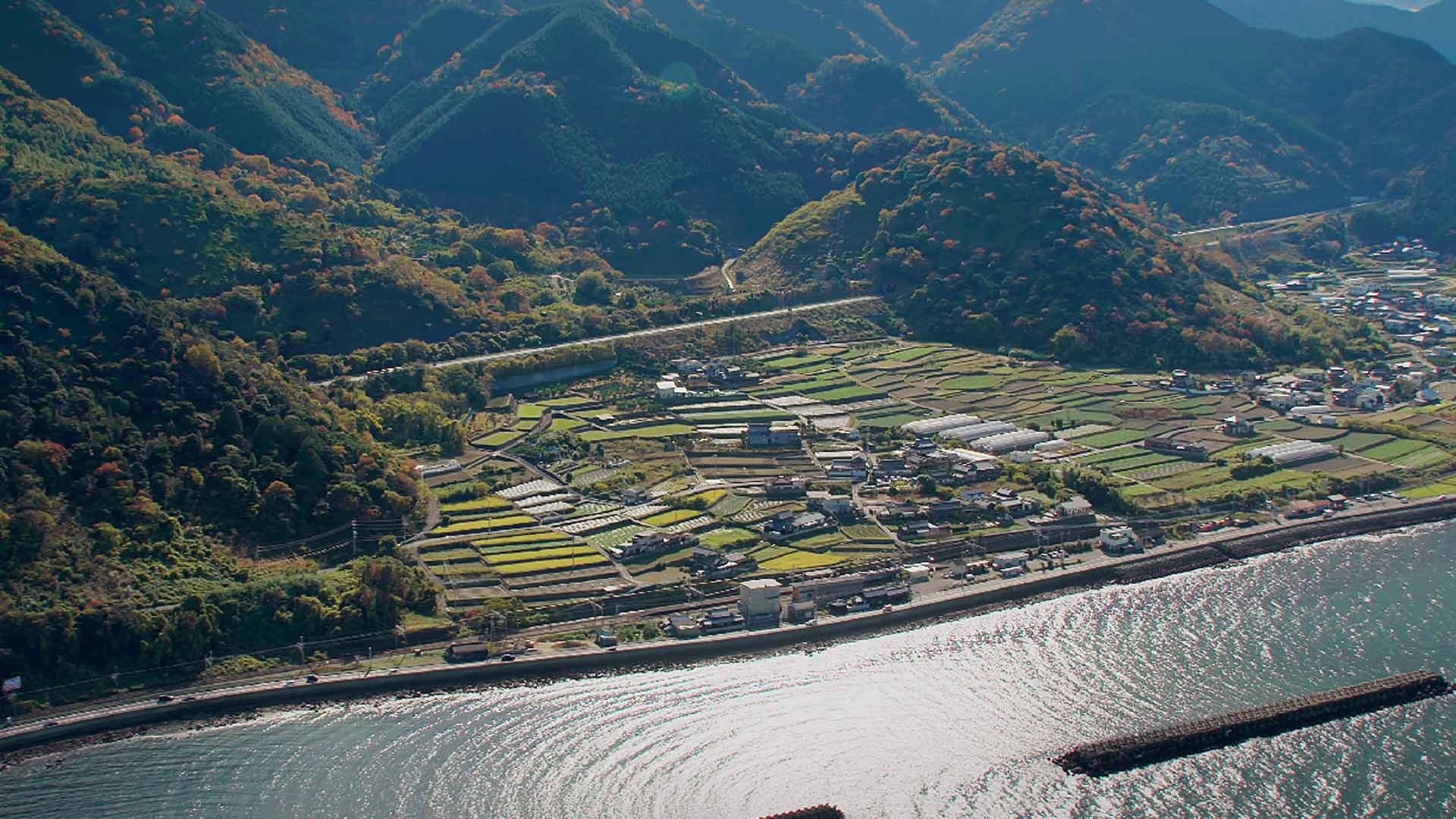 Japan: Between Earth and Sky - Disney+