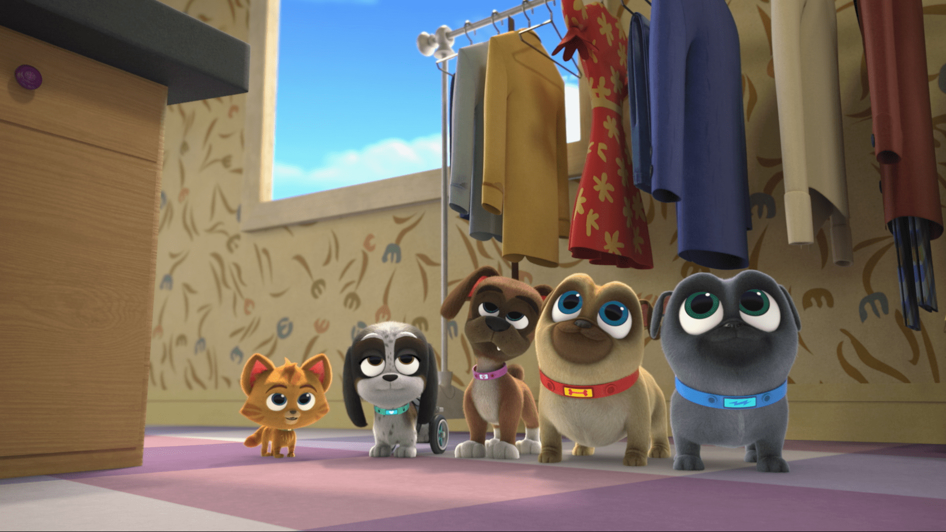 Watch Puppy Dog Pals Episode 3 on Disney+ South Africa | English ...