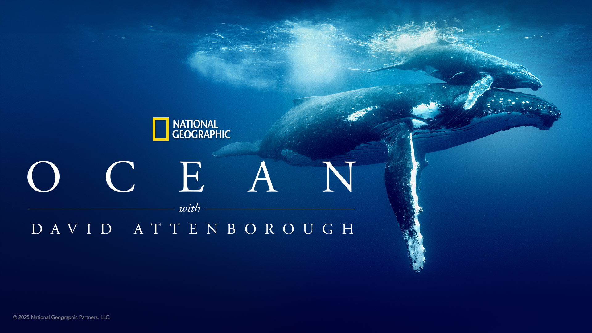 Ocean with David Attenborough - Trailer - JioHotstar