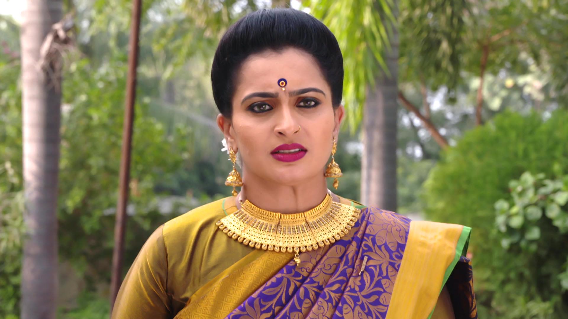 Watch Karthika Deepam - Idi Nava Vasantham S1 Episode 686 on JioHotstar