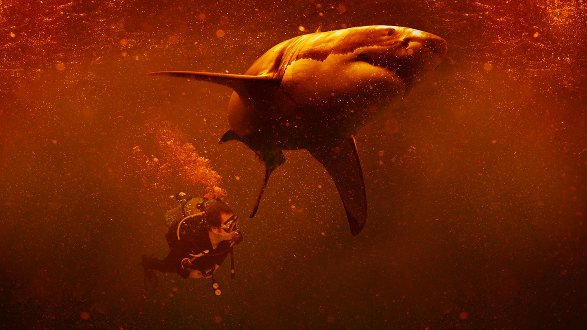 Sharkcano: Hawaii - Disney+