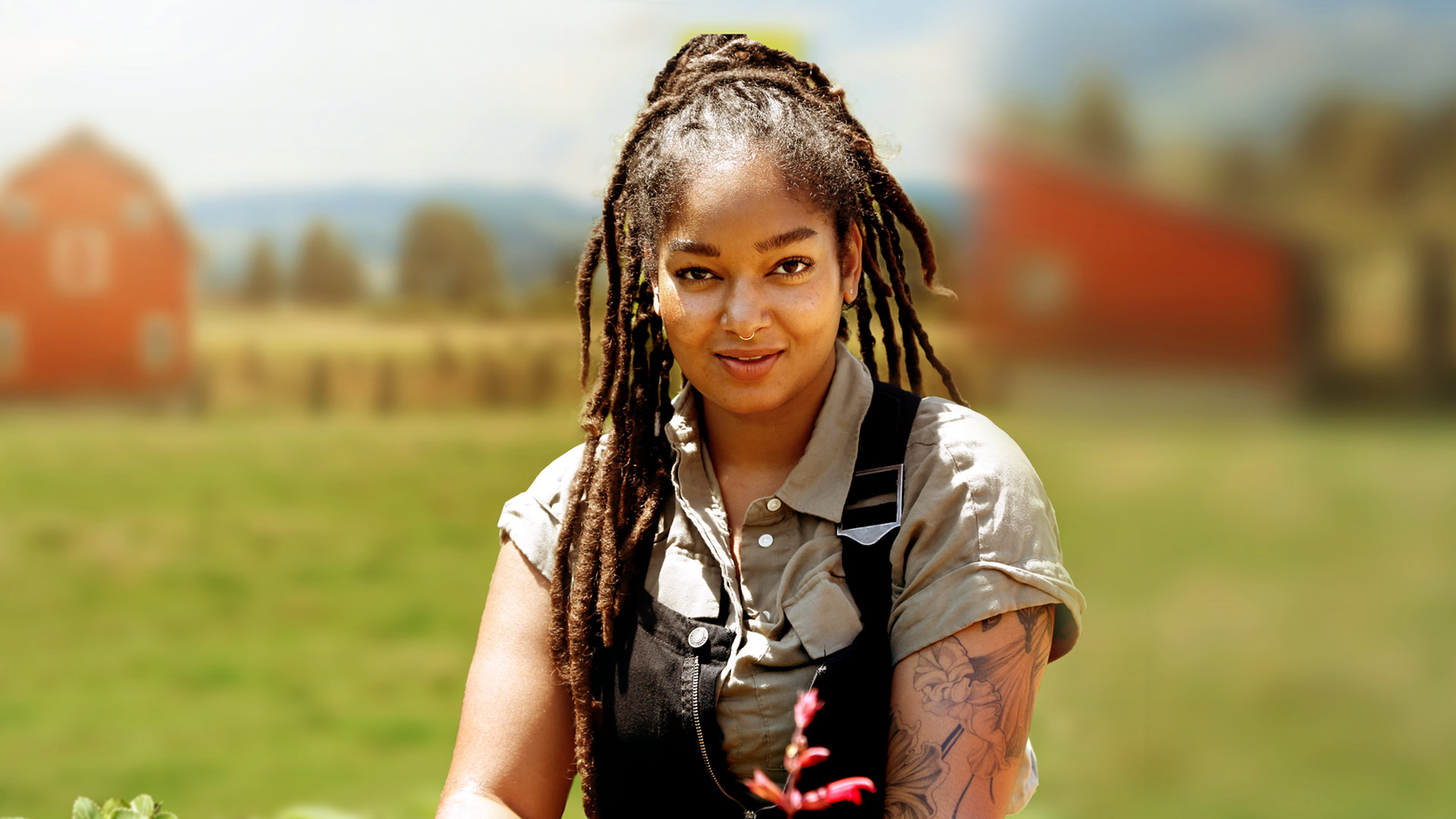 Farm Dreams - Disney+