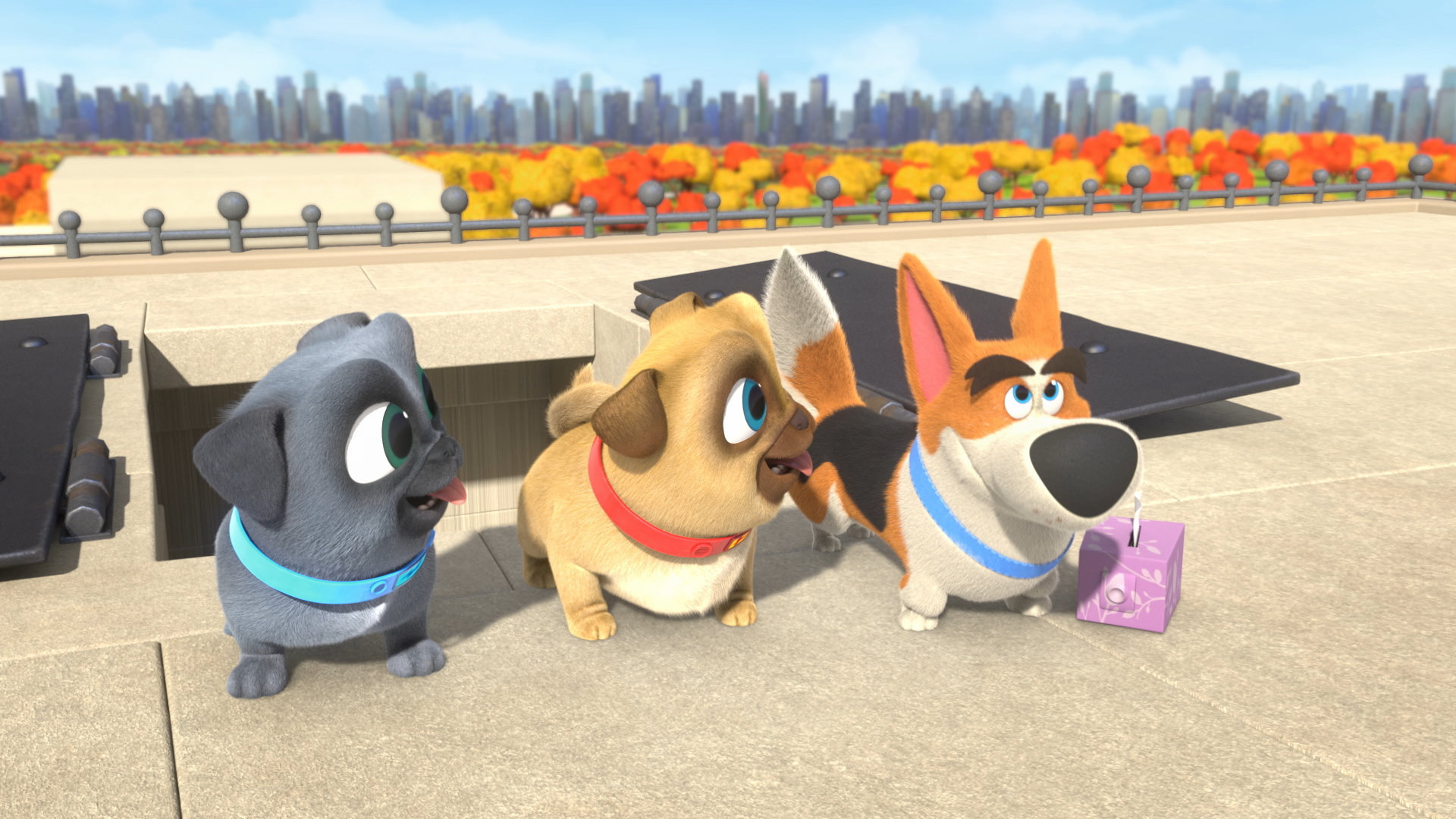 Watch Puppy Dog Pals S3 Episode 16 on Disney+ Jordan | English Arabic ...