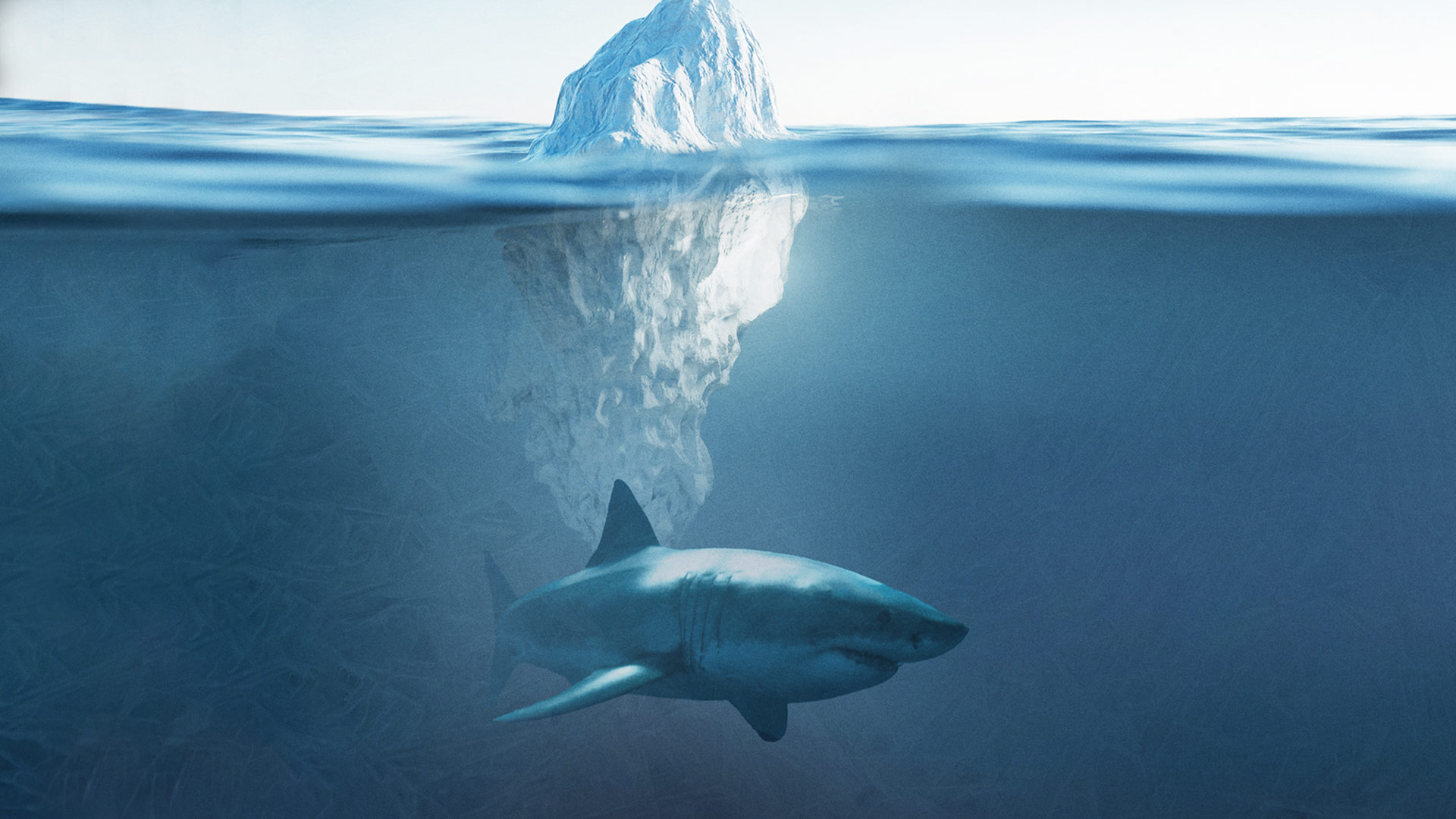 Shark Below Zero - Disney+