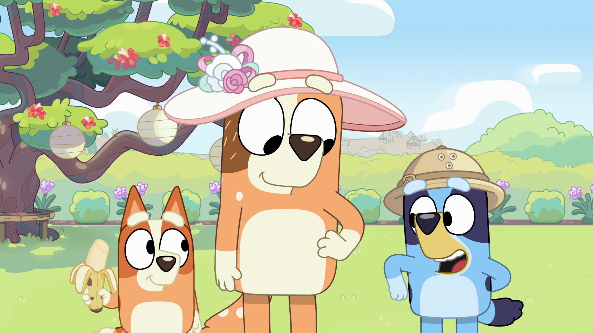 Watch Bluey (Shorts) S1 Episode 35 on Disney+ Hotstar