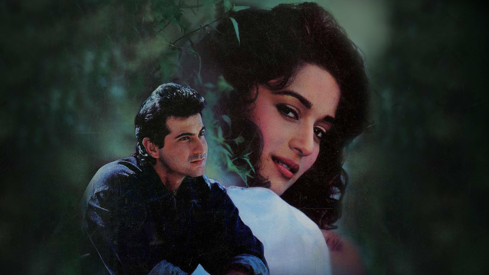 Watch Raja - Disney+ Hotstar