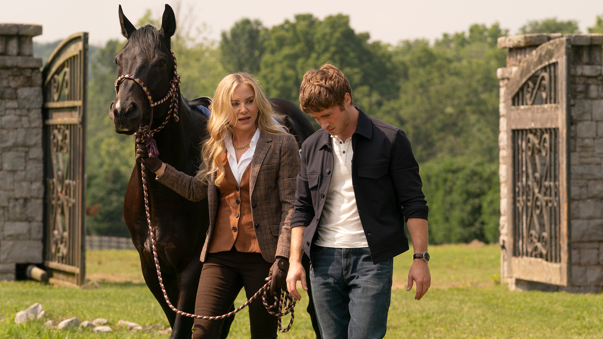 Disney+ | The greatest stories, all in one place