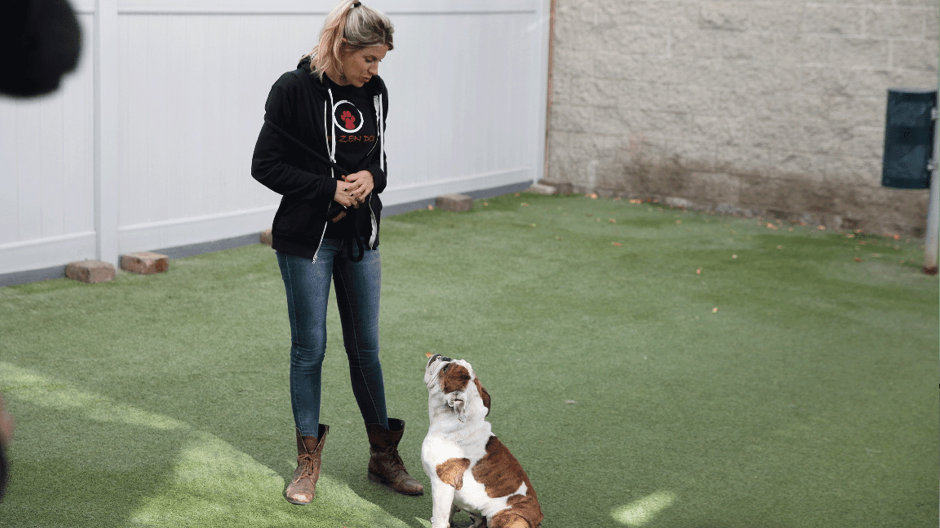 Dog: Impossible - Disney+