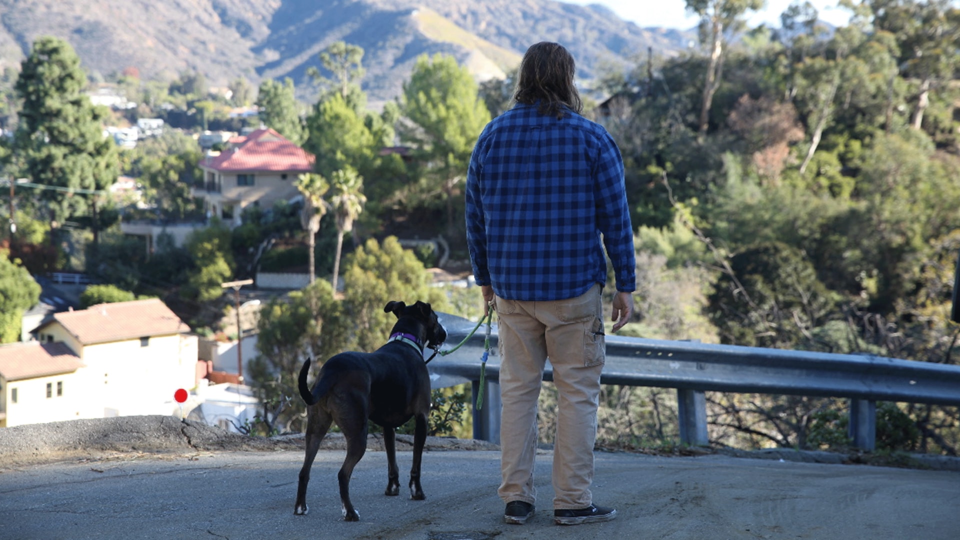 Dog: Impossible - Disney+