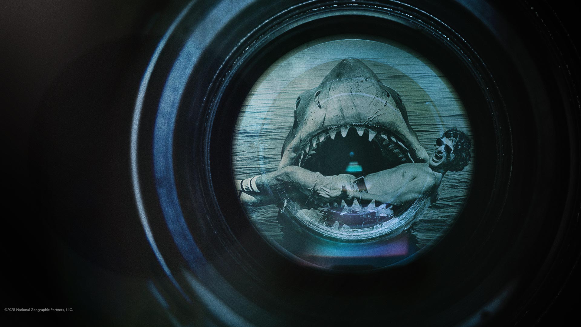 Watch JAWS @ 50: The Definitive Inside Story - JioHotstar