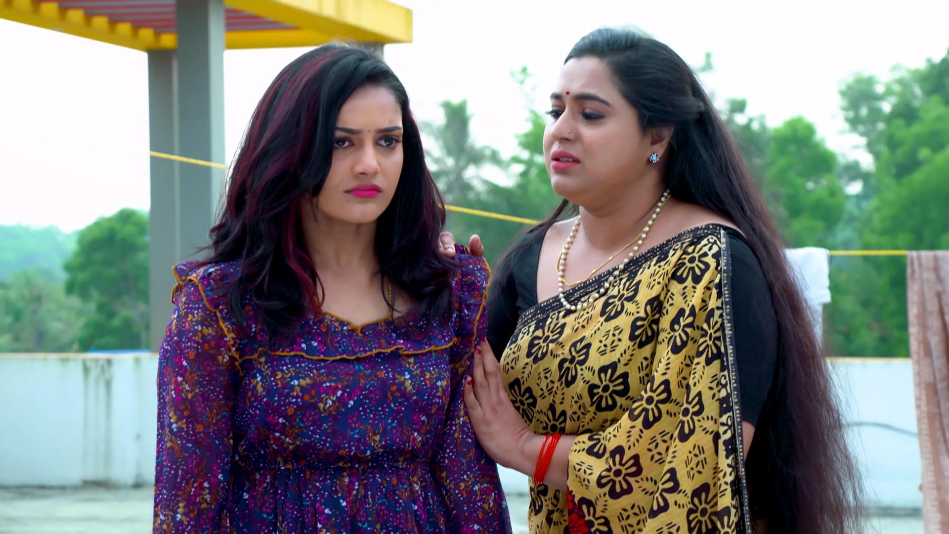 Watch Palunku Episode 100 on JioHotstar