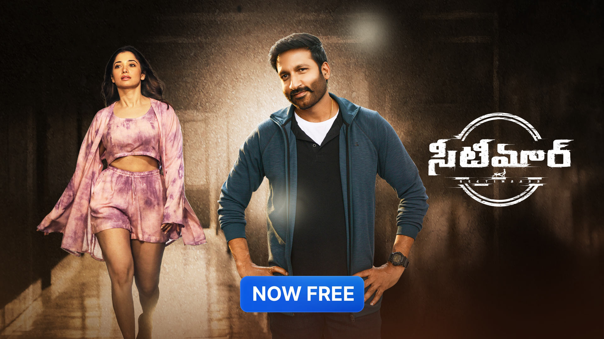 Watch Movie Seetimaarr Only on Watcho