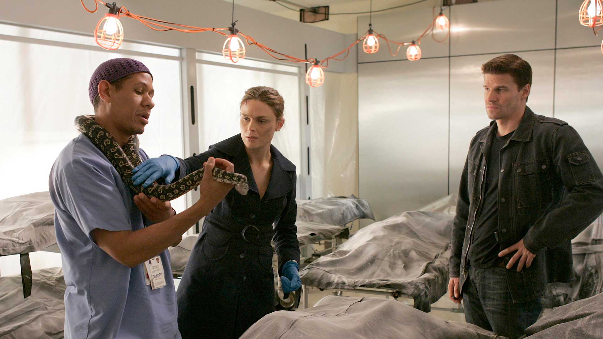 Watch Bones S1 Episode 19 on JioHotstar