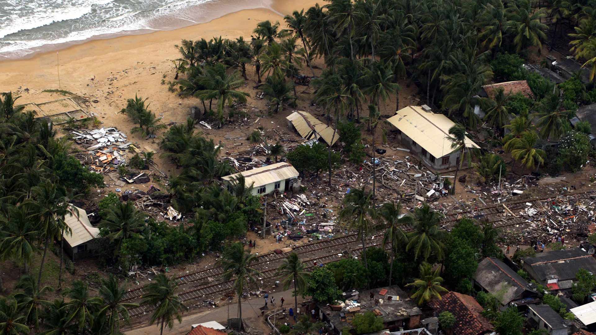 Watch Tsunami: Race Against Time Episode 3 on JioHotstar