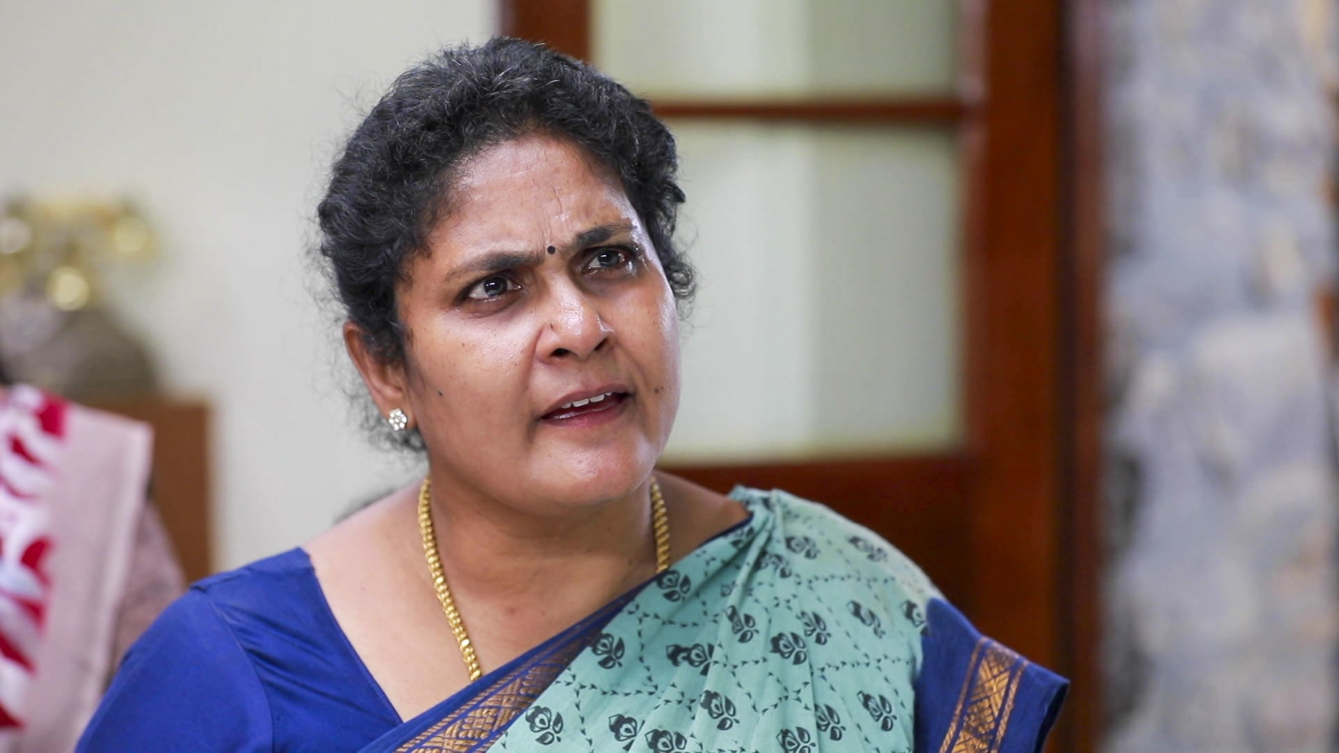 Stream Saradha Hits the Roof Season 1 Episode 727 – Saradha Hits the ...