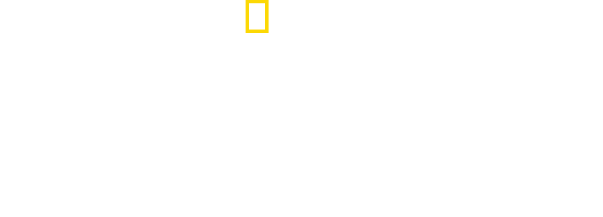 Secrets of the Whales - Disney+