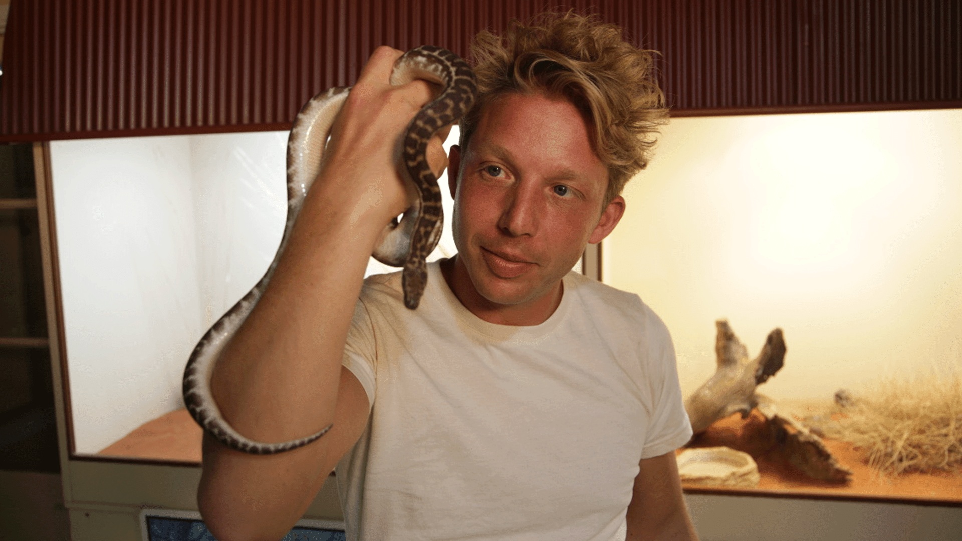 Watch Out There with Jack Randall Episode 4 on Disney+ South Africa ...