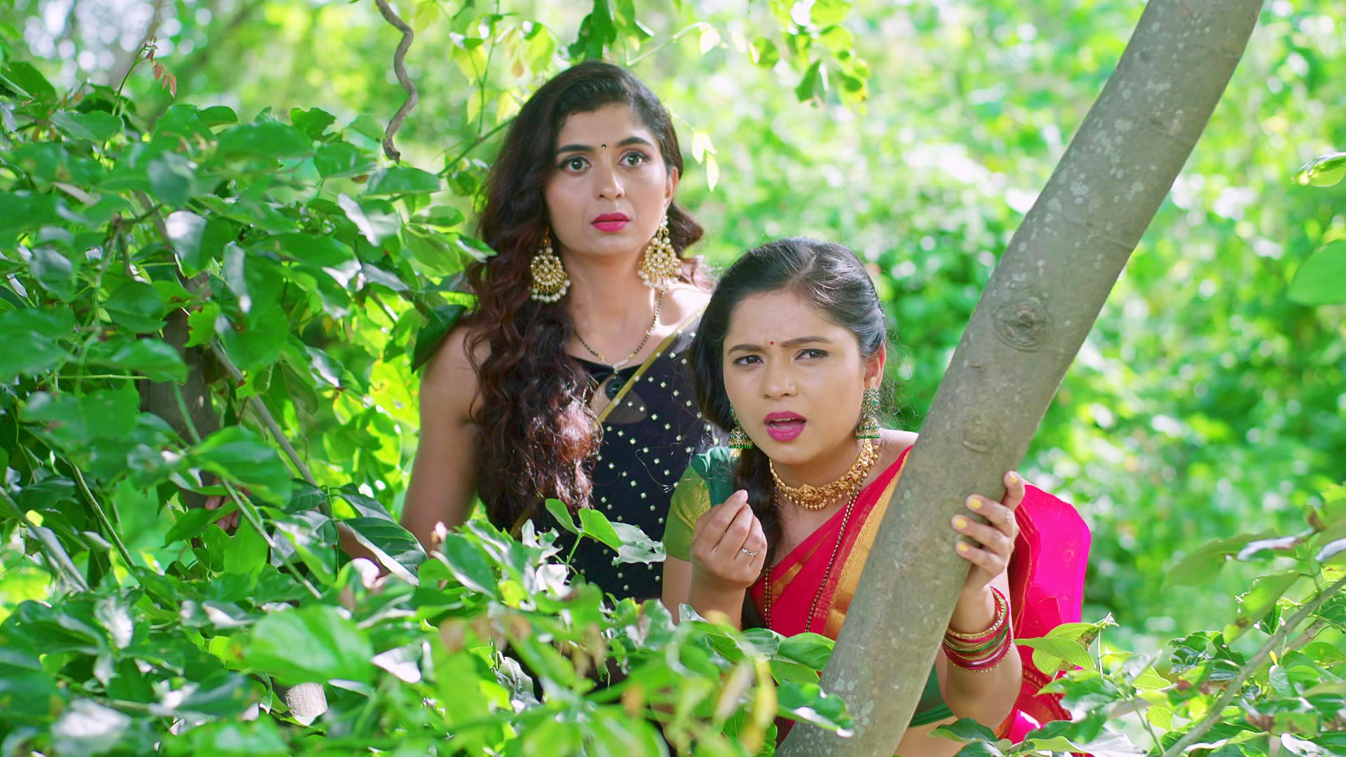 Watch Raaji S1 Episode 51 on Disney+ Hotstar