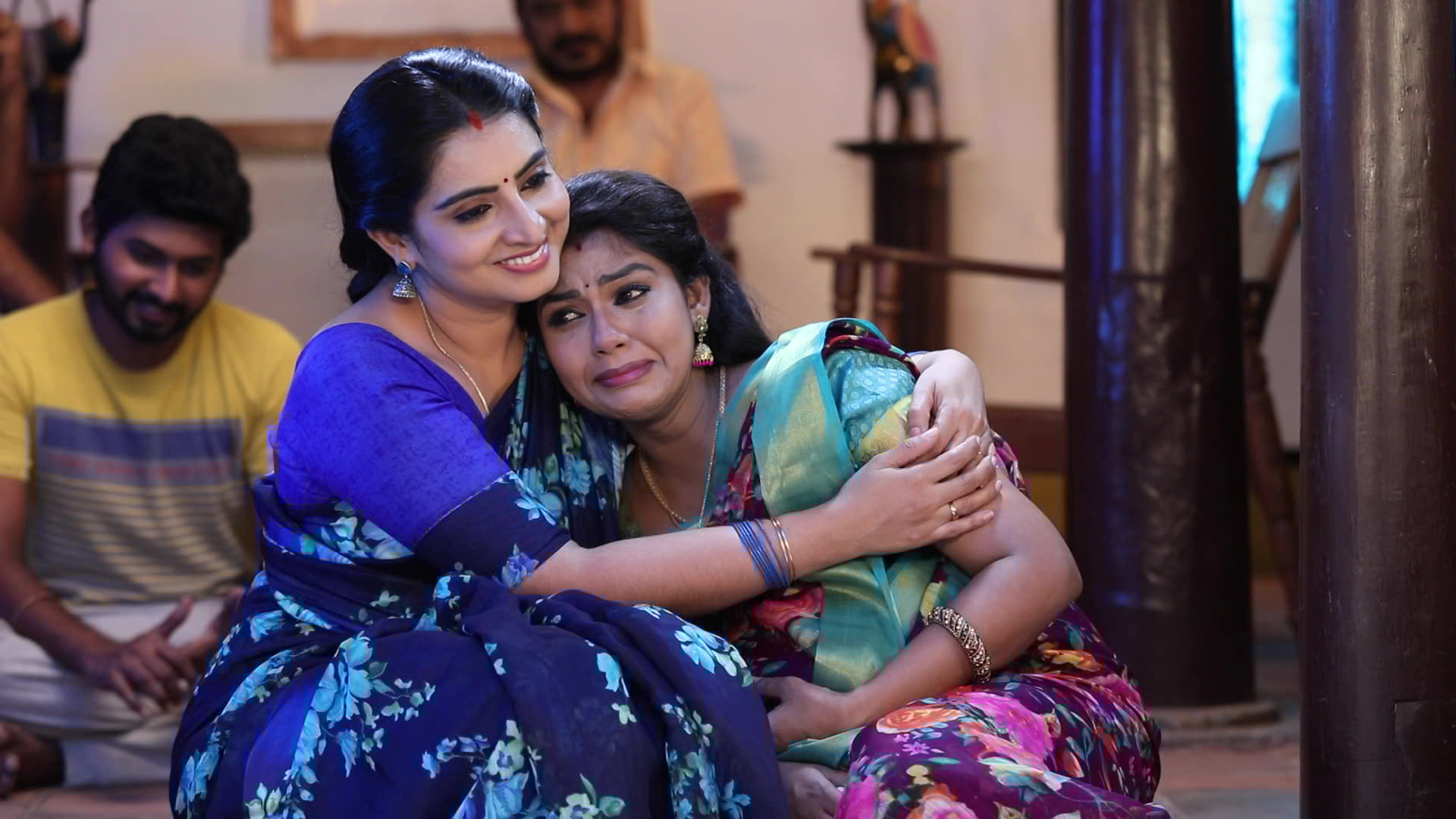 Watch Dhanam Pacifies Meena Online