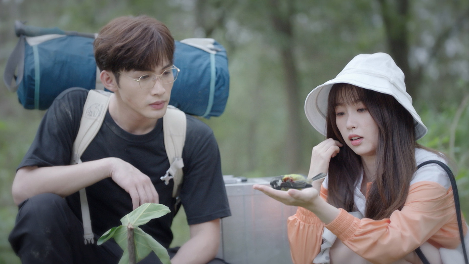 Watch A Romance of the Little Forest Episode 20 on JioHotstar